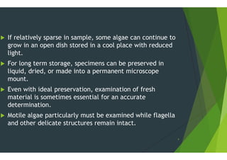 Algal preservation | PDF
