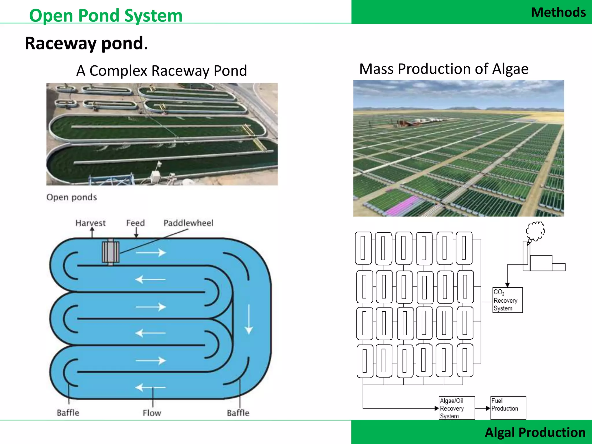 Algal Production for Biofuel | PPSX