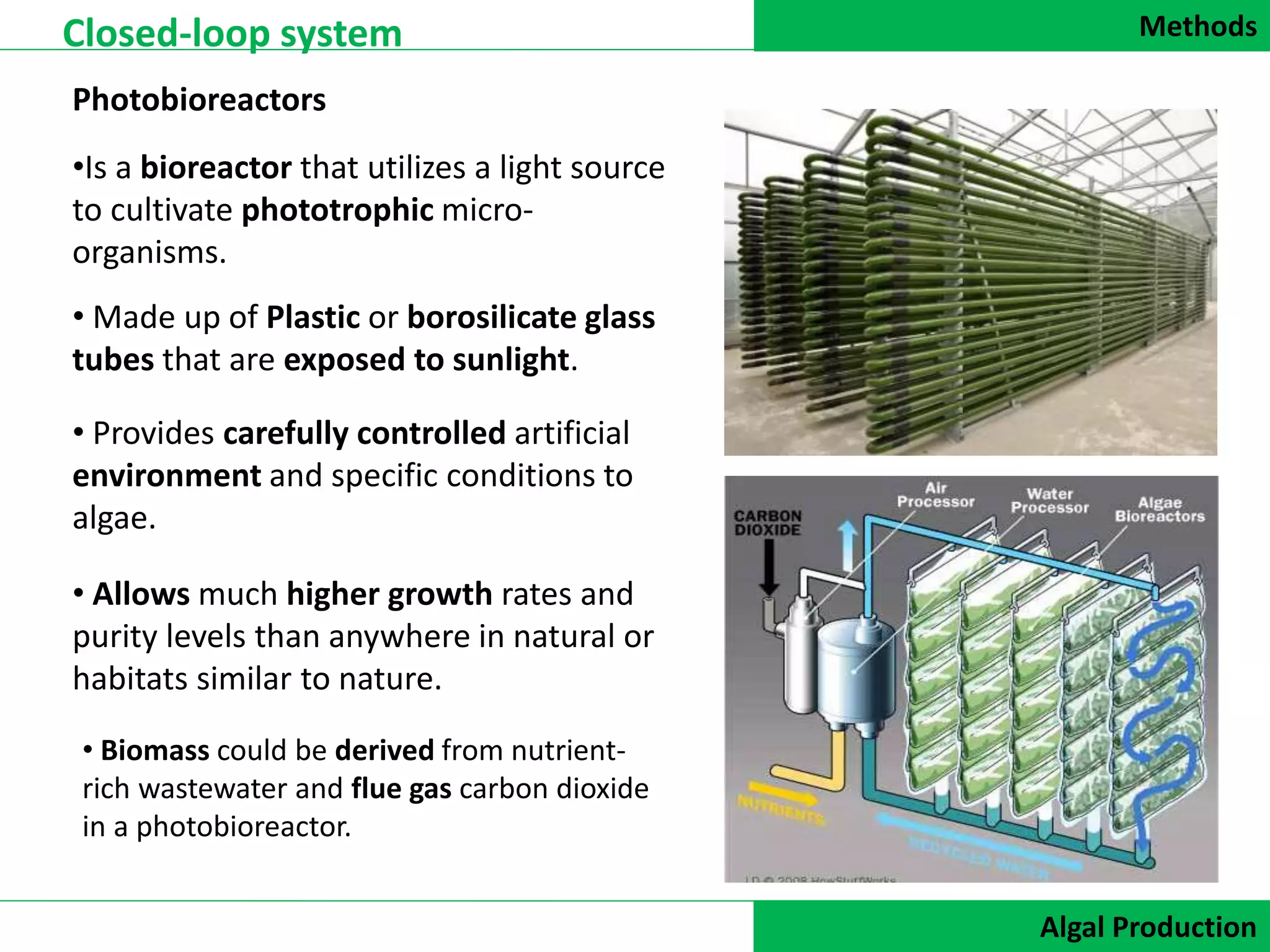 Algal Production for Biofuel | PPSX