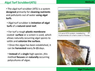 Algal Production for Biofuel | PPSX