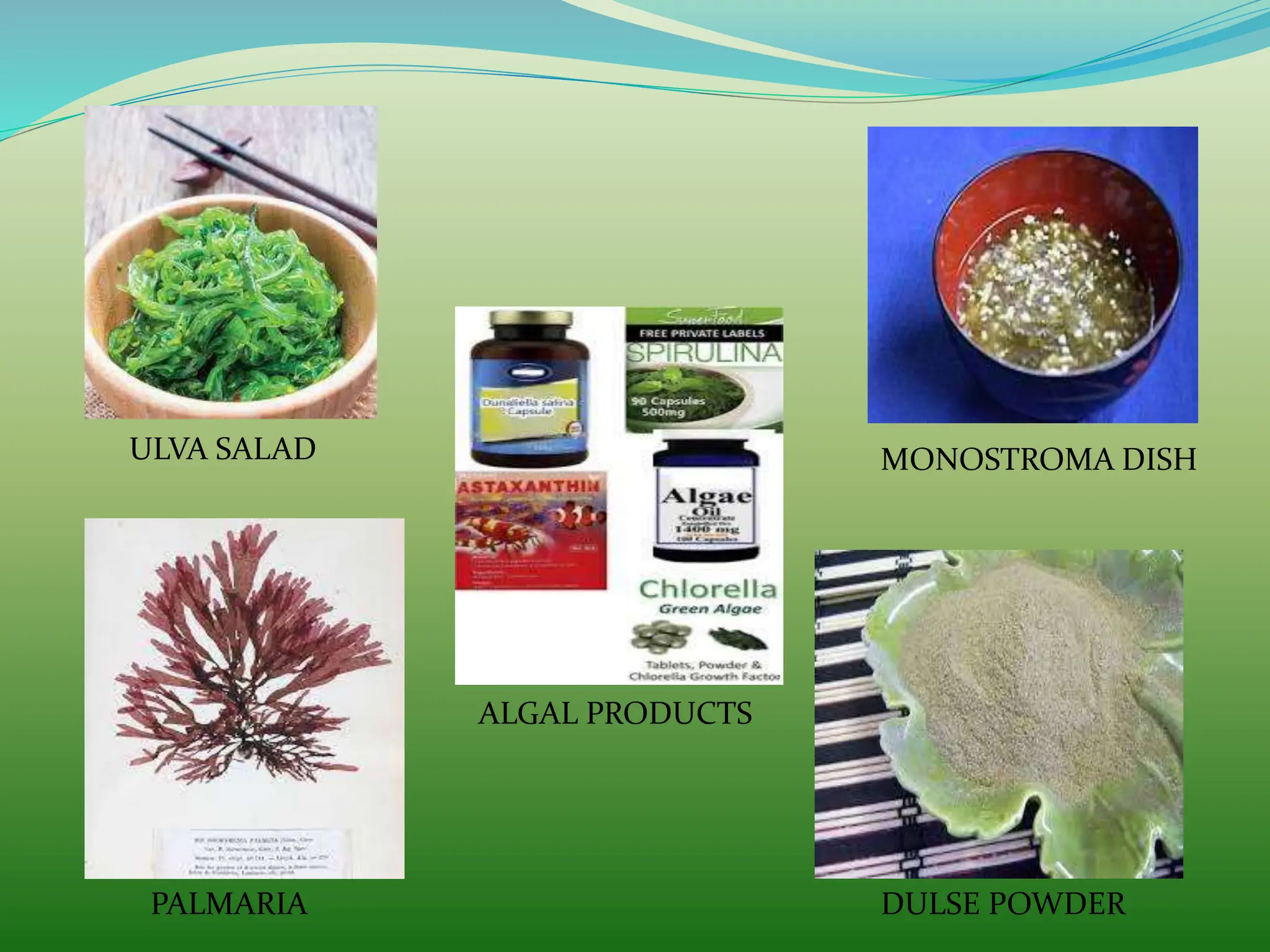 ALGAL PRODUCTS.pptx