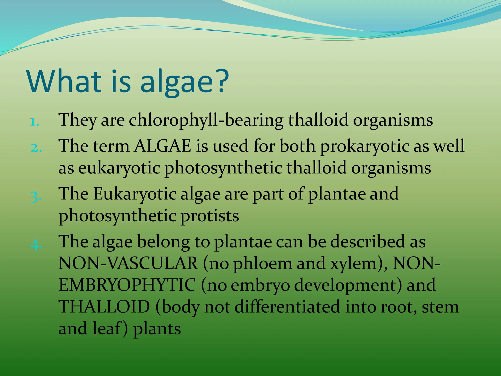 ALGAL PRODUCTS.pptx