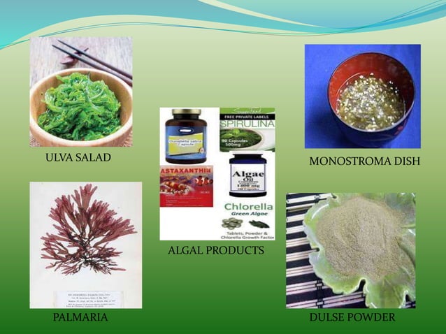 ALGAL PRODUCTS.pptx | Herbs and Supplements | Alternative Medicine