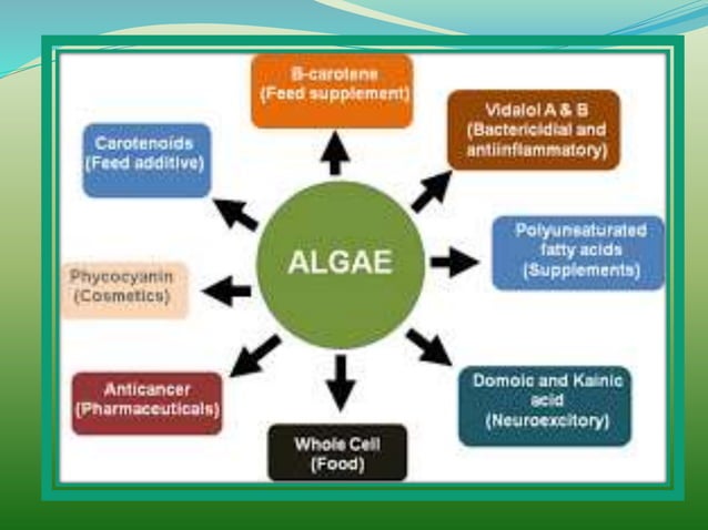 ALGAL PRODUCTS.pptx | Herbs and Supplements | Alternative Medicine