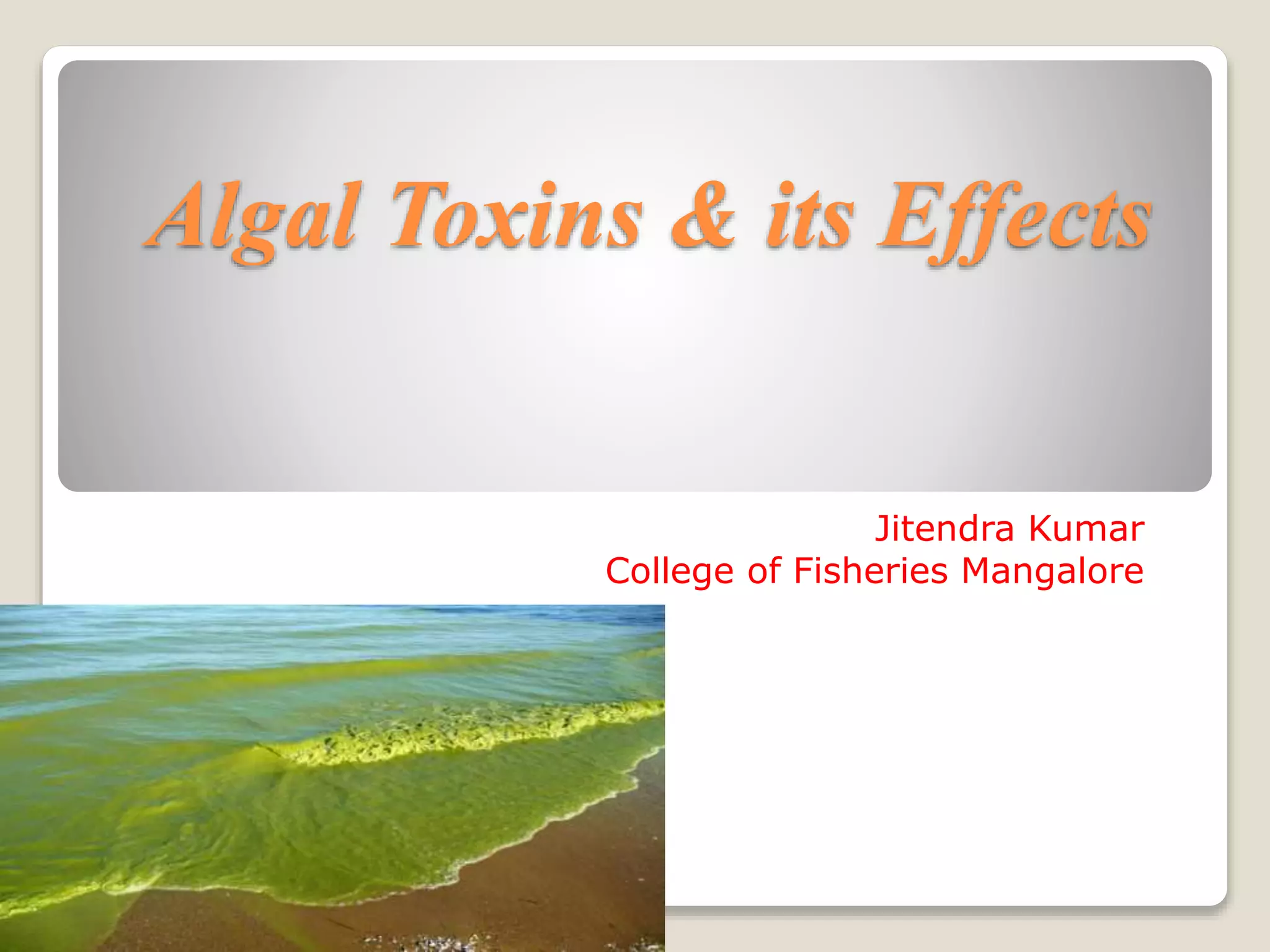 Algal toxins & its effects | PPTX