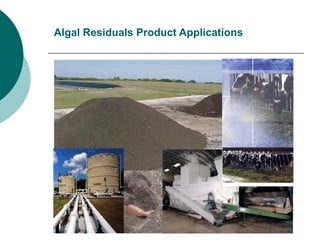 Algal Turf Scrubber | PDF