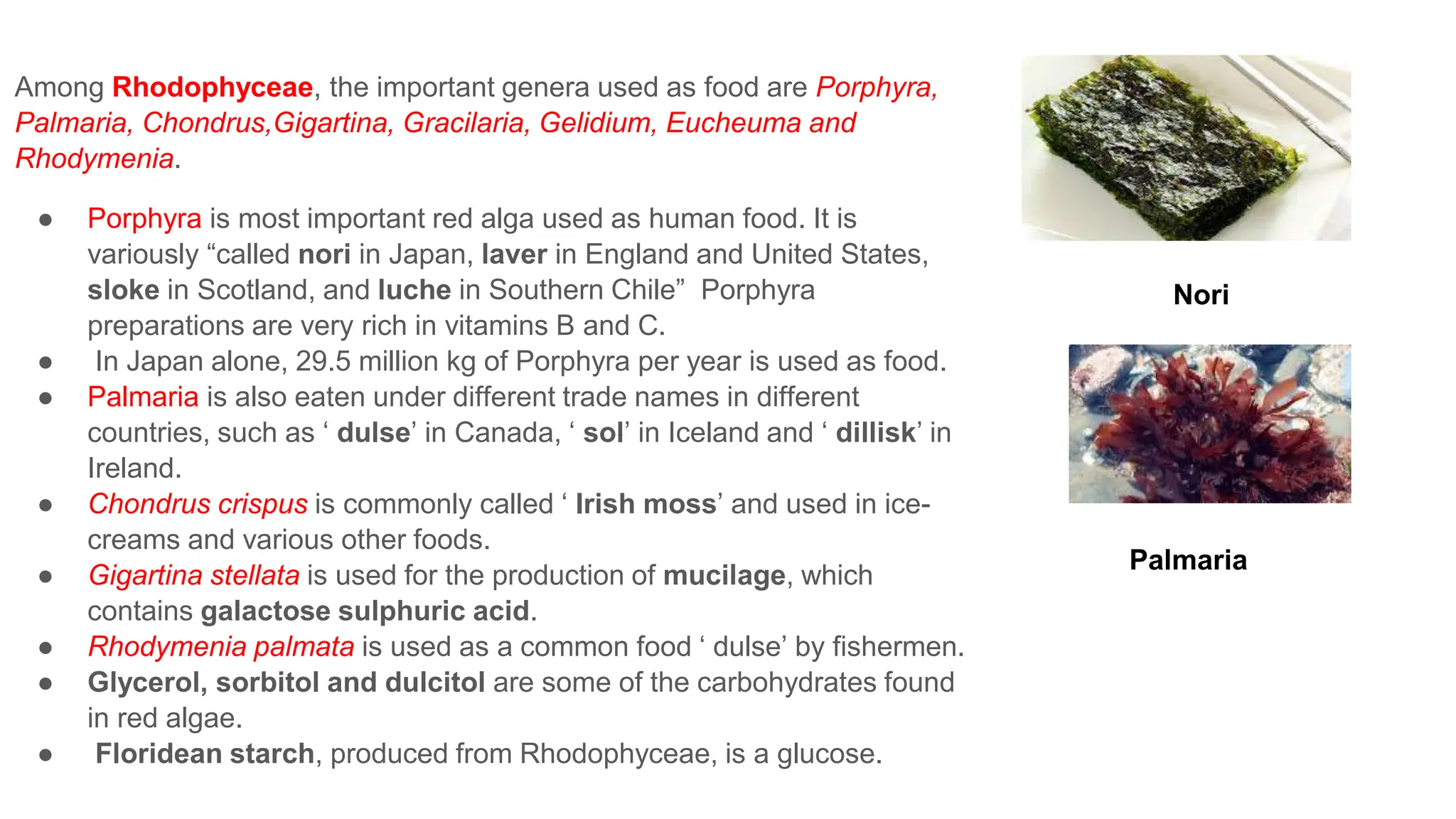 Ecological and economic importance of algae | PPTX