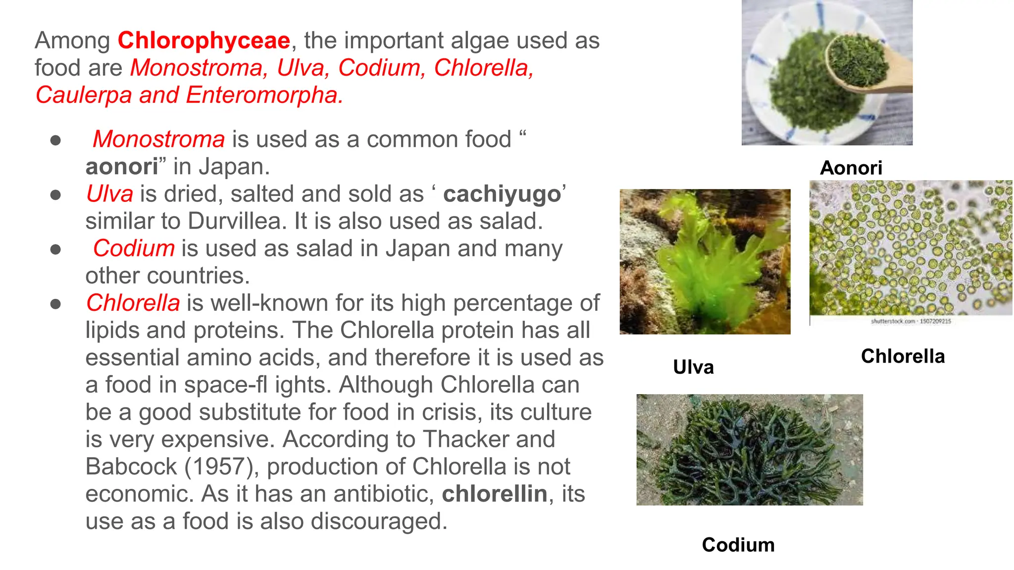 Ecological and economic importance of algae | PPTX
