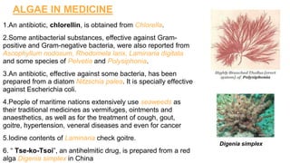 Ecological and economic importance of algae | PPTX