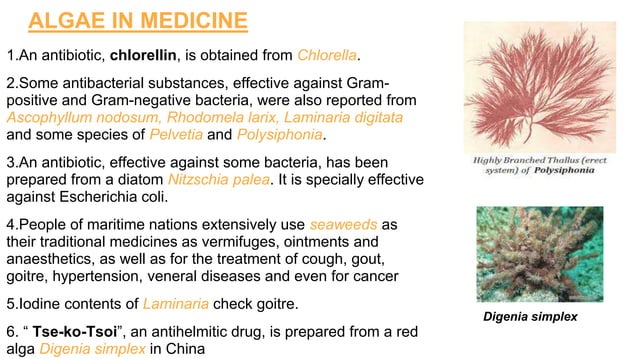Ecological and economic importance of algae | PPTX | Geography | Science