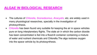 Ecological and economic importance of algae | PPTX