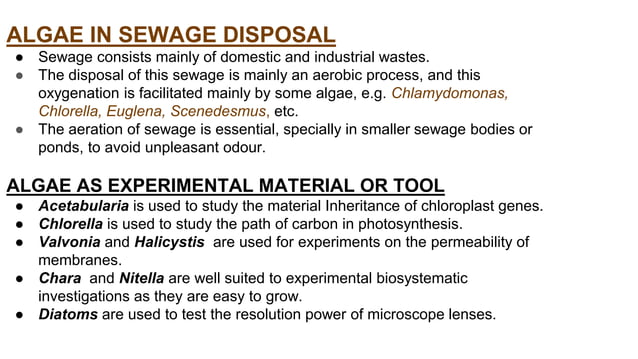 Ecological and economic importance of algae | PPTX | Geography | Science