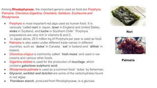 Ecological and economic importance of algae | PPTX