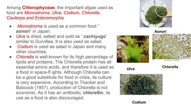 Ecological and economic importance of algae | PPTX | Geography | Science