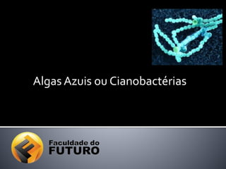 Algas azuis | PPTX