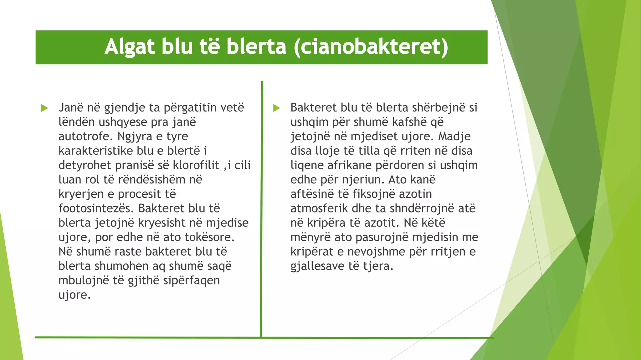 Algat dhe karakteristikat e tyre | PPTX