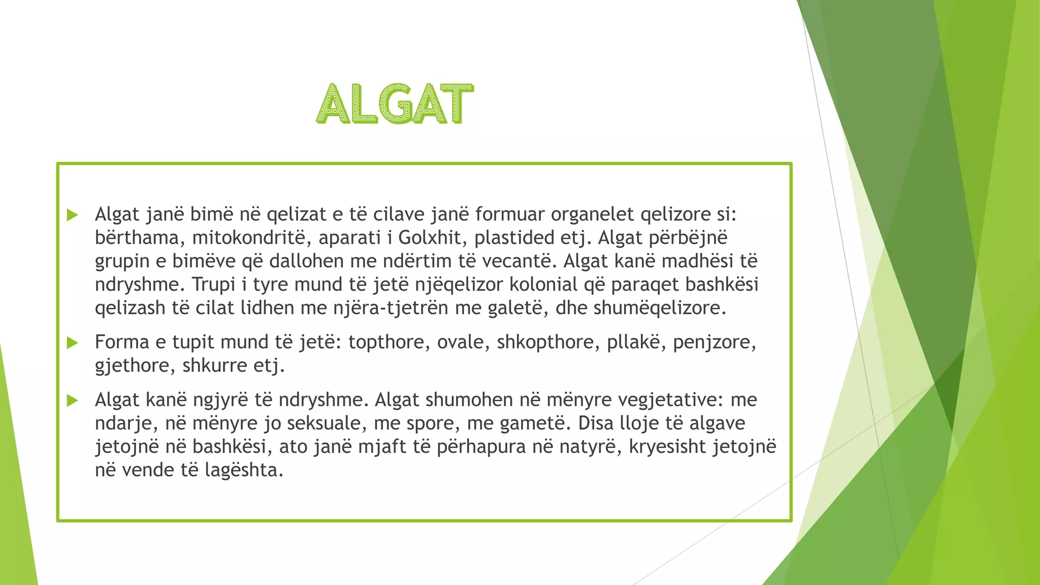 Algat dhe karakteristikat e tyre | PPTX