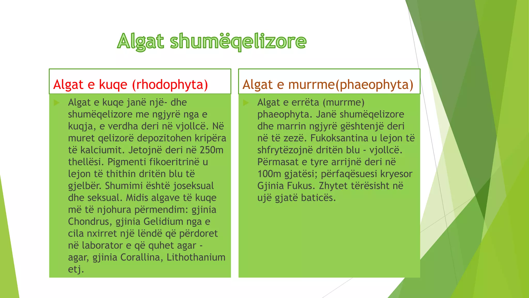 Algat dhe karakteristikat e tyre | PPTX