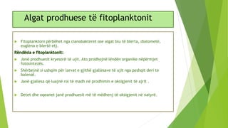 Algat dhe karakteristikat e tyre | PPTX