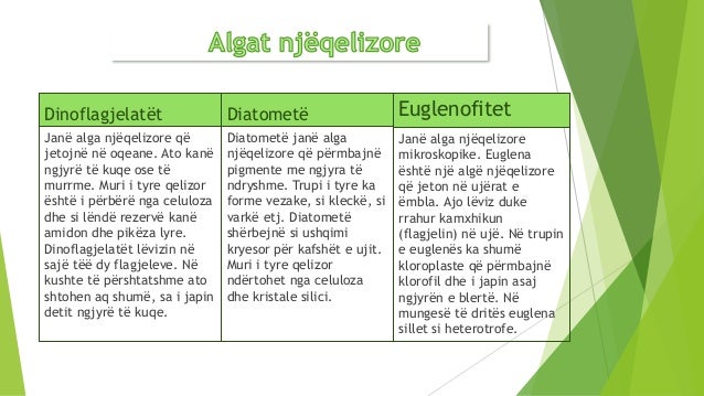 Algat dhe karakteristikat e tyre