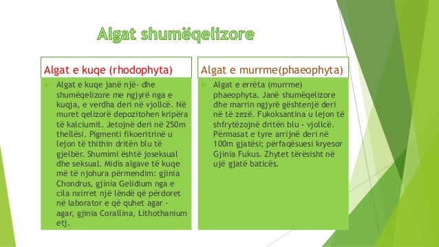 Algat dhe karakteristikat e tyre