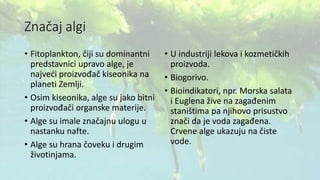 Alge - odlike, raznovrsnost i značaj | PPTX