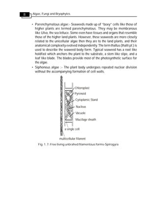 Algea, Bryo, Pterido (1).pdf
