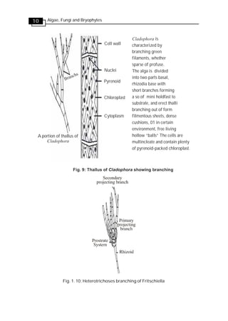 Algea, Bryo, Pterido (1).pdf