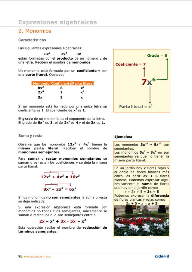 Algebra para primaria | PDF