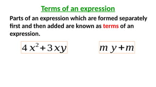 algebra class 7 ncert maths ppt. easy way of teaching algebra | PPTX