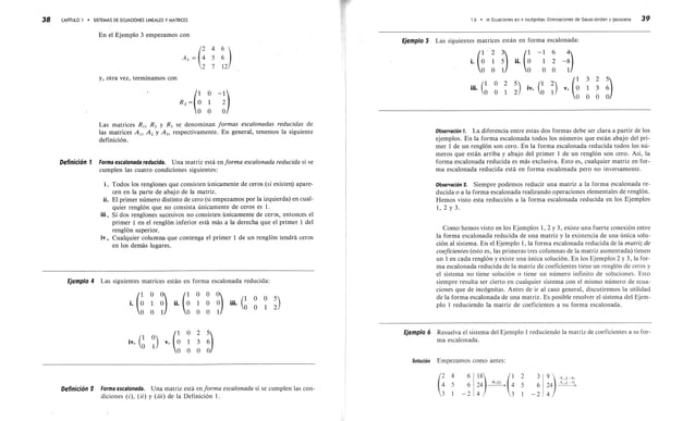 Algebra lineal-stanley-grossman | PDF