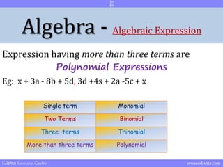Algebra Terminologies | PPTX
