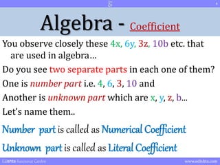 Algebra Terminologies | PPTX