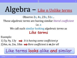 Algebra Terminologies | PPTX