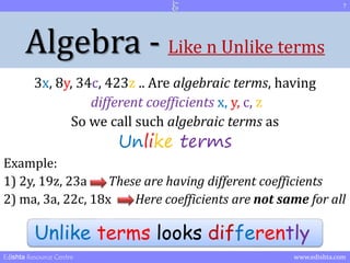 Algebra Terminologies | PPTX