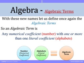Algebra Terminologies | PPT