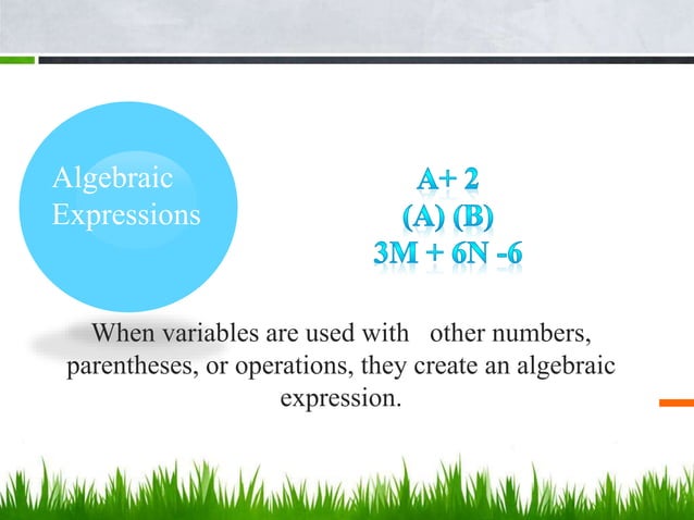 Algebraic Expression and Expansion.pptx | Physics | Science