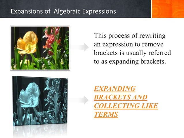 Algebraic Expression and Expansion.pptx | Physics | Science