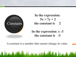 Algebraic Expression and Expansion.pptx