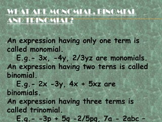 Algebraic expressions | PPTX