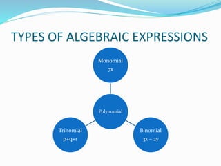 Algebraic expressions | PPT