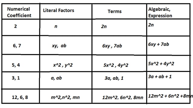 Algebraic expressions and equations | PPTX