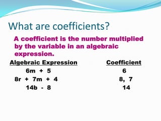 Algebraic expressions and terms | PPTX