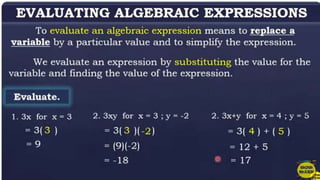 Algebraic Expressions PPT.pptx