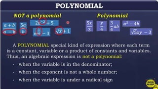 Algebraic Expressions PPT.pptx