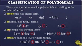 Algebraic Expressions PPT.pptx