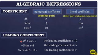 Algebraic Expressions PPT.pptx