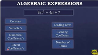 Algebraic Expressions PPT.pptx