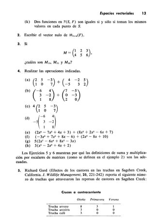 Algebra lineal de friedberg | PDF