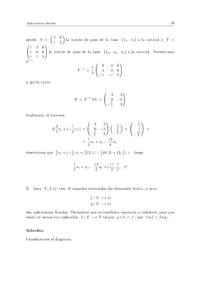 Algebra lineal problemas_resueltos